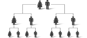 Growing your Family Tree: Key Documents for Genealogy